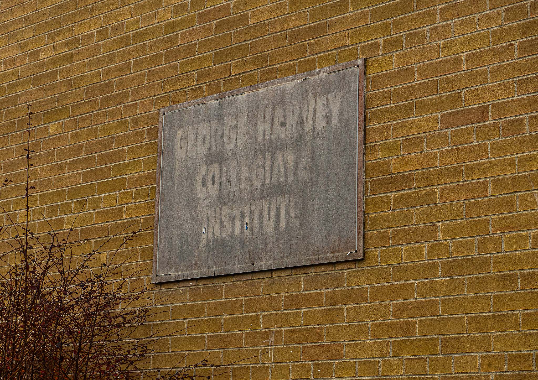 York Memorial CI in Toronto: students turn on a light – School Magazine